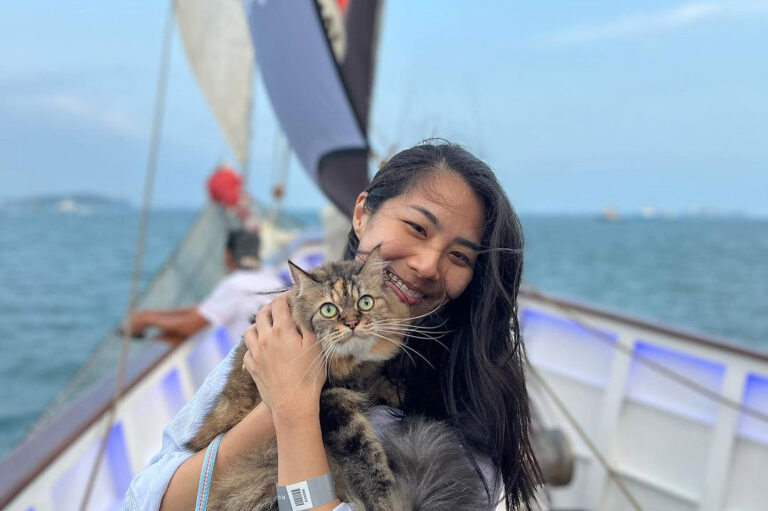 Cat Cruise: conheça o cruzeiro exclusivo para navegar com gatos