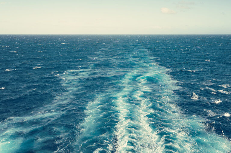 Dia do Oceano: confira 10 curiosidades sobre os oceanos